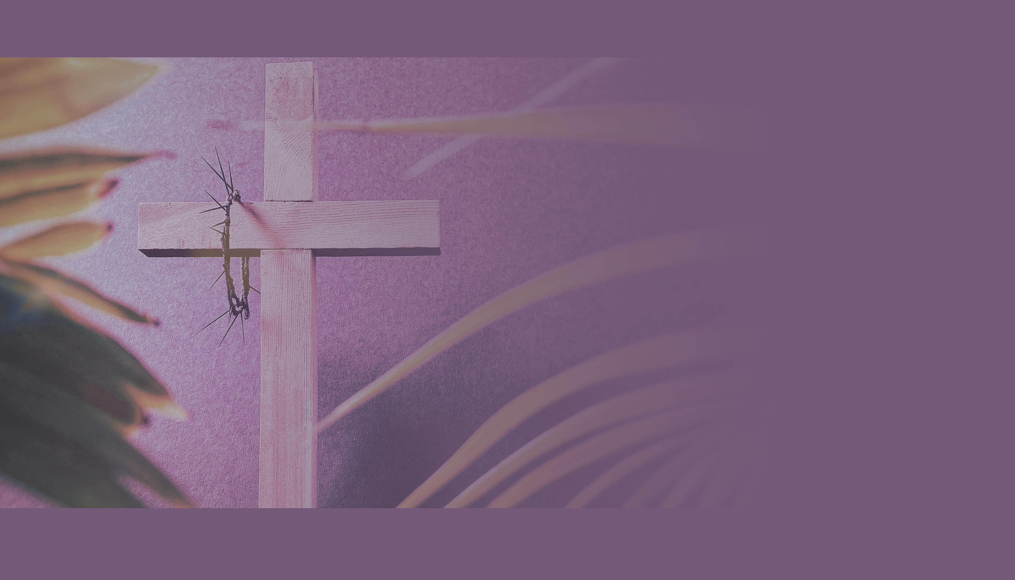 Diocese of Gaylord | purple_lent_right_fade-_home_page_banner.jpg